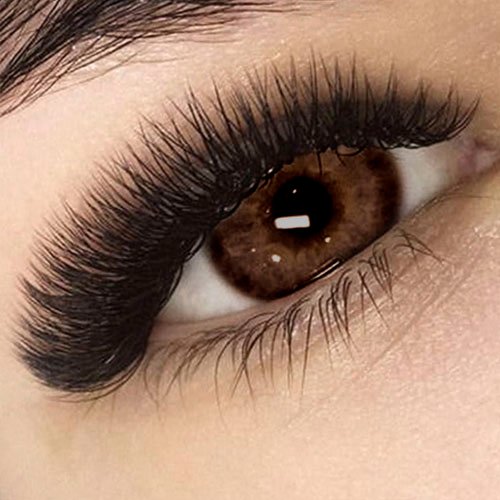 Lash & Brows Services - LashDash